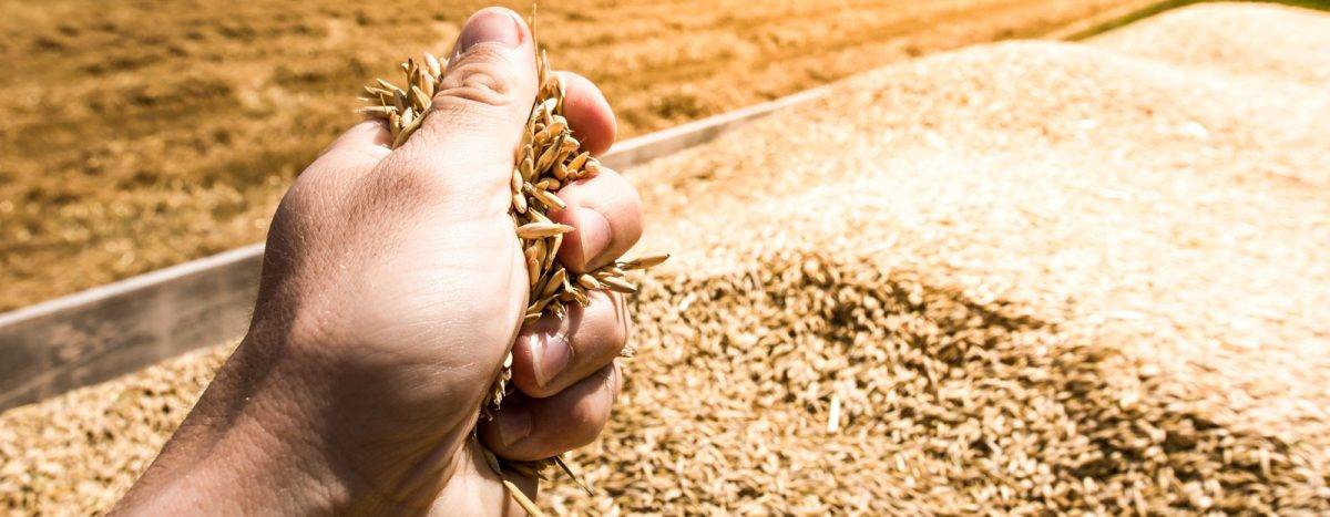 Western provinces boost agri-business with new incentives - CAAR