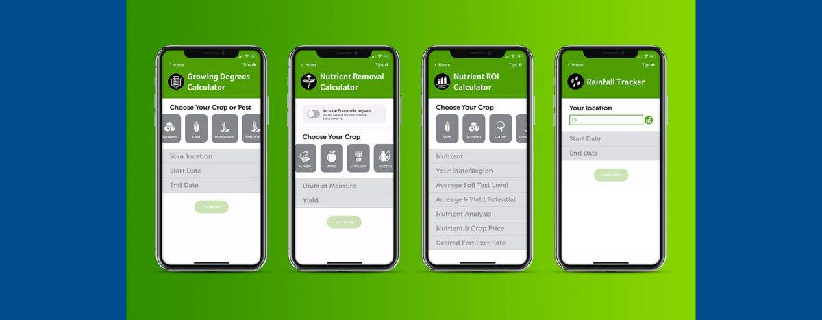 Calculate your way to success with the eKonomics app - CAAR