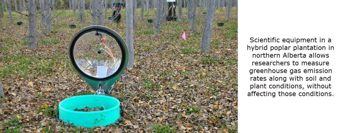 Green boost - pulp mill waste transforms soil health and cuts emissions ...