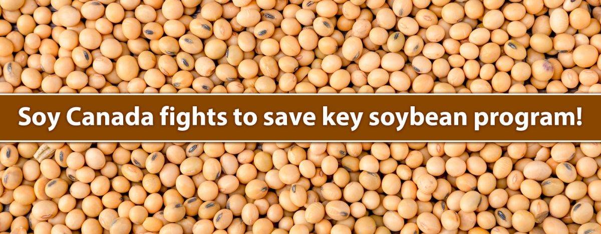 Soy Canada fights to save key soybean program - CAAR
