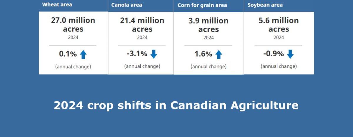 2024 agriculture crop shifts - CAAR