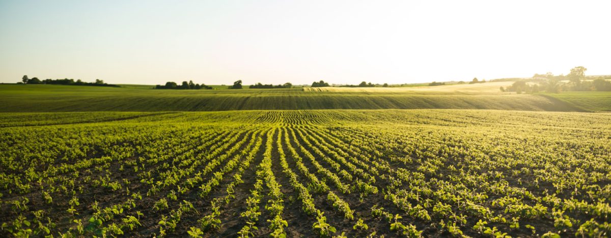 Governments of Canada and Saskatchewan Announce Changes to 2025 ...